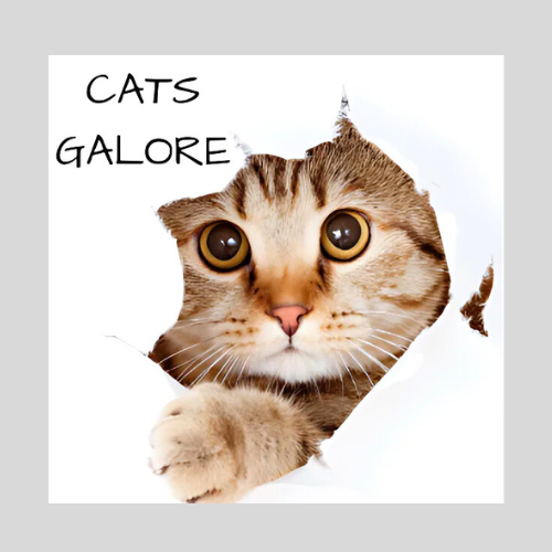 Cat Themed – Razberry Threads